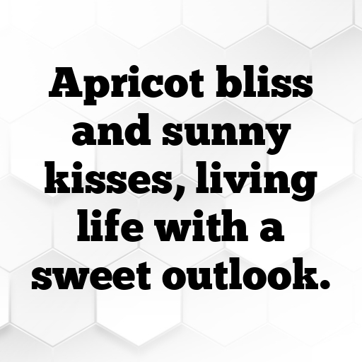 184+ Apricot Captions For Instagram In 2025