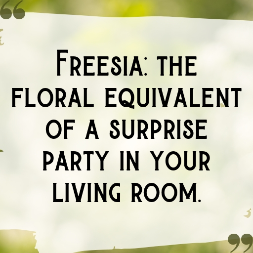 165+ Freesia Captions For Instagram In (2025)