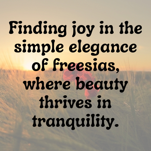 165+ Freesia Captions For Instagram In (2025)