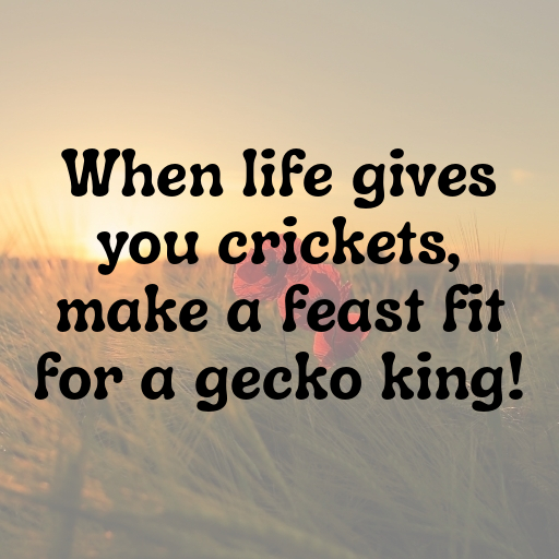 180+ Gecko Captions For Instagram In [2025]