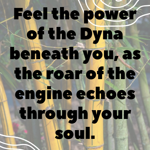 191+ Harley-Davidson Dyna Captions for Instagram In (2025)