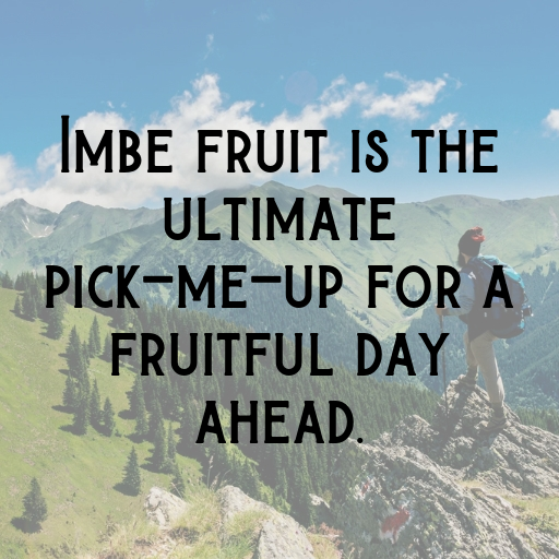 180+ Imbe Fruit Captions For Instagram In (2025)