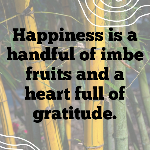 180+ Imbe Fruit Captions For Instagram In (2025)