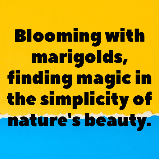 197+ Marigold Captions For Instagram In 2025