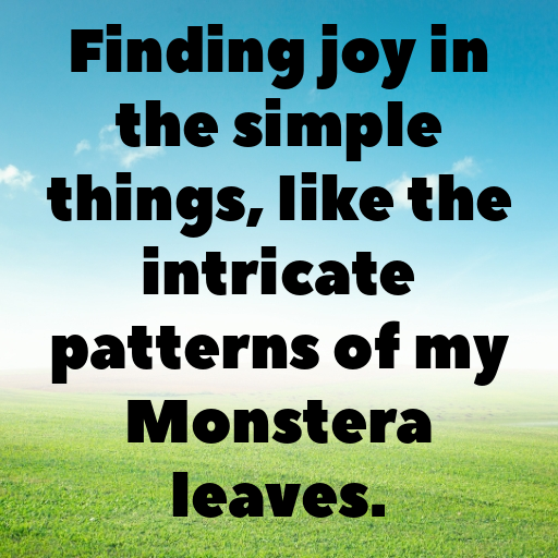 182+ Monstera Deliciosa Captions For Instagram In (2025)