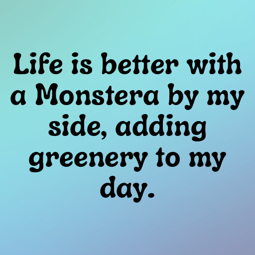 182+ Monstera Deliciosa Captions For Instagram In (2025)