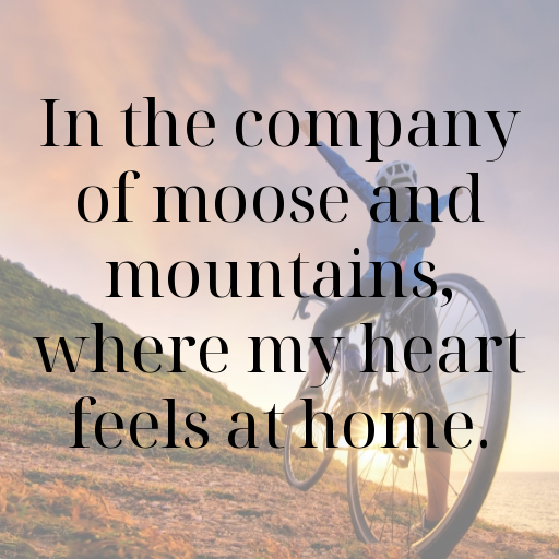 185+ Moose Captions For Instagram In [2025]