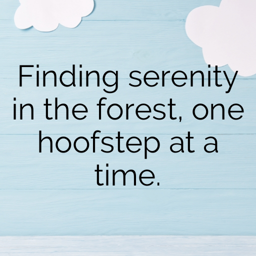 185+ Moose Captions For Instagram In [2025]