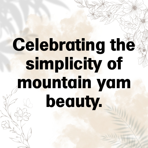 192+ Mountain Yam Captions For Instagram In (2025)