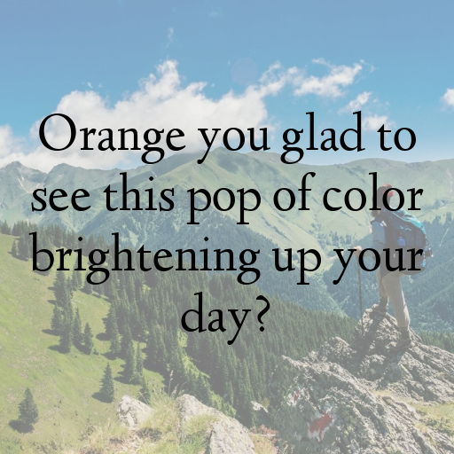 183+ Orange Captions For Instagram In 2025