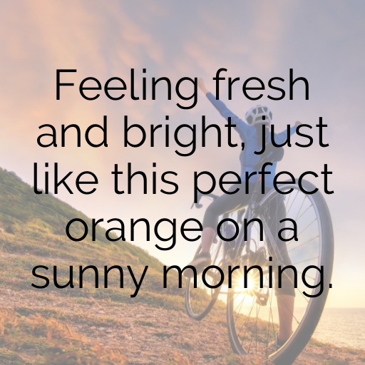 183+ Orange Captions For Instagram In 2025