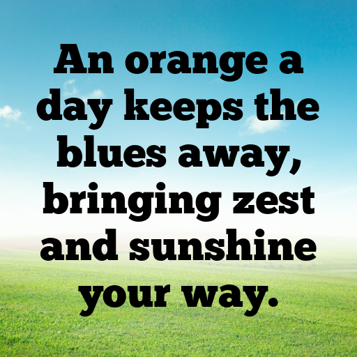 183+ Orange Captions For Instagram In 2025