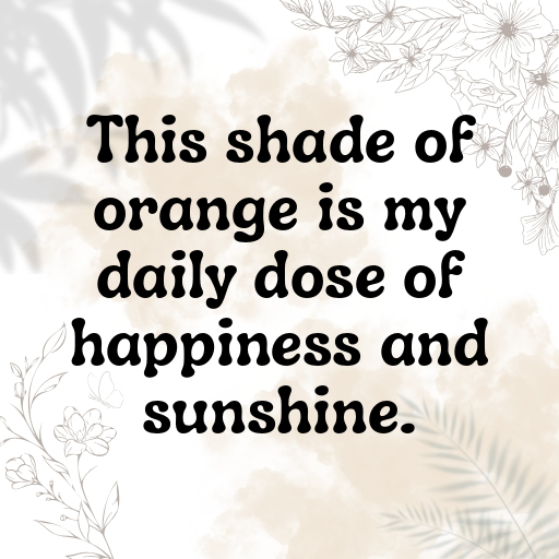 183+ Orange Captions For Instagram In 2025