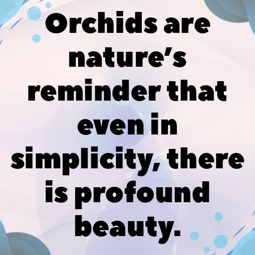 169+ Orchid Captions For Instagram In 2025