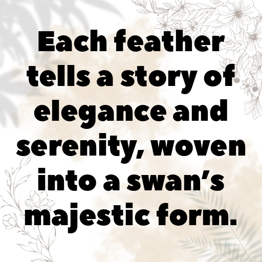 199+ Swan Captions For Instagram In 2025